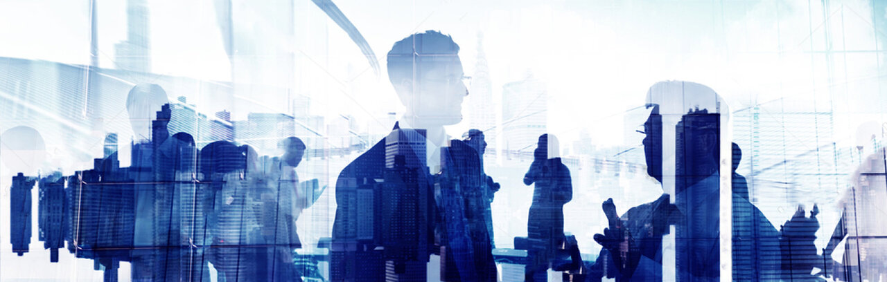 SI PRO Consulting - SAP Servicepartner